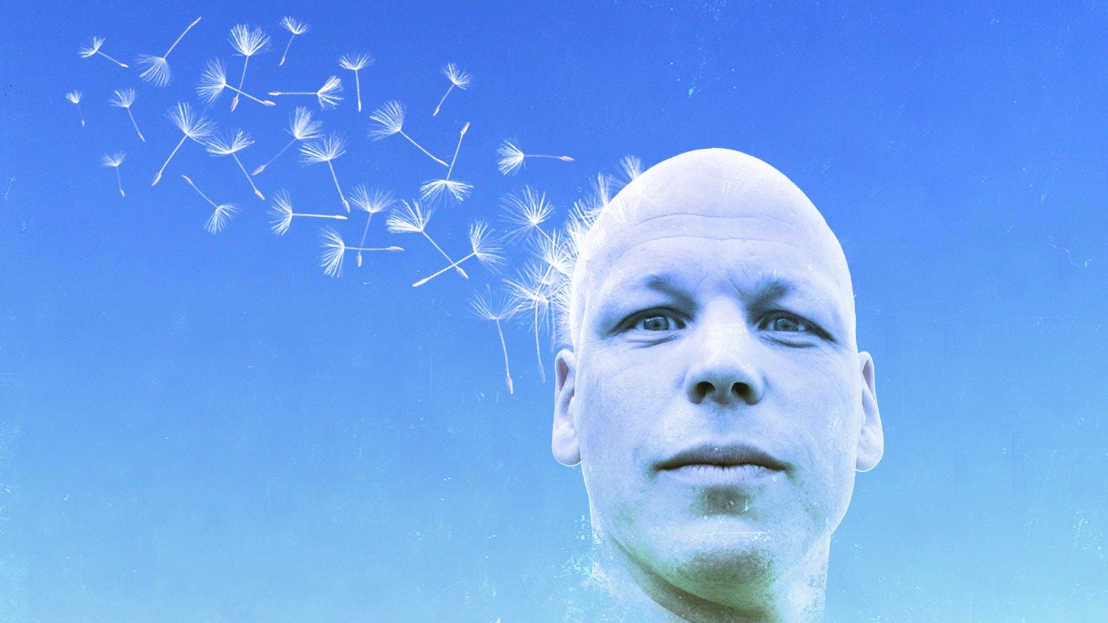 Dandelion | The Toronto Theatre Database