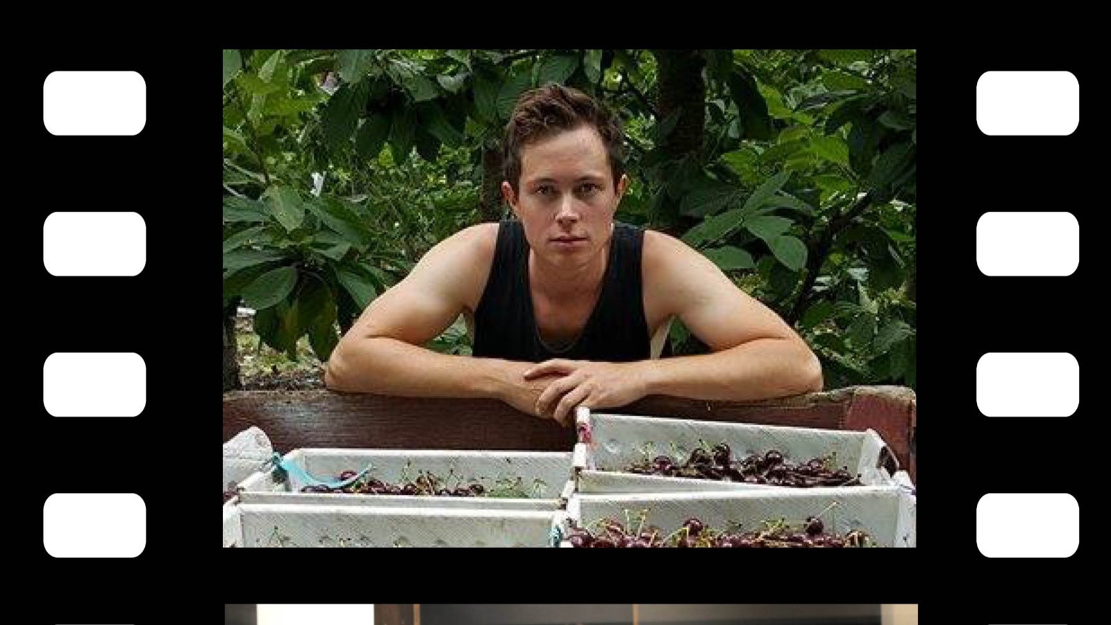 LIGHTS! CAMERA! ODD JOBS? | The Toronto Theatre Database