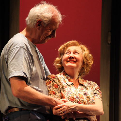 Une Maison face au Nord (A North Facing House) | The Toronto Theatre ...