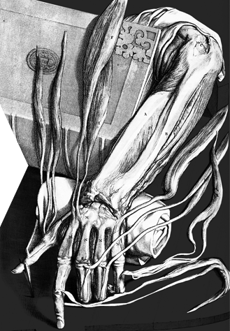 Birth of Frankenstein | The Toronto Theatre Database